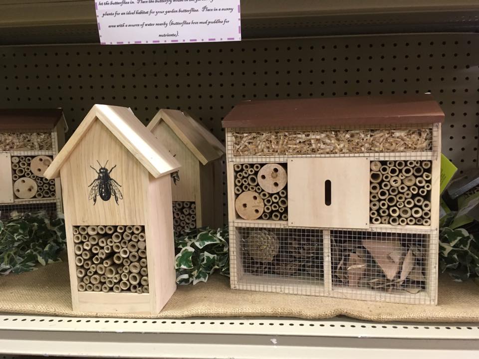 Bees - Town & Country Nurseries