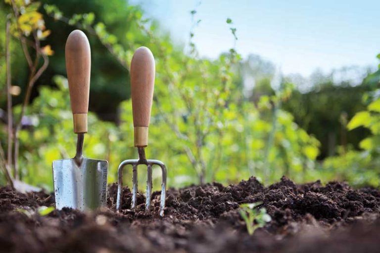 Homepage - Town & Country Nurseries